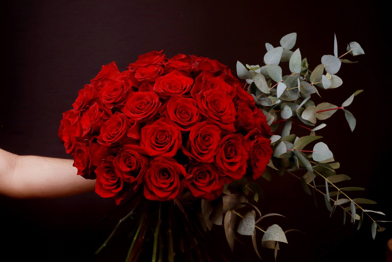Red Roses Bouquet | Delivery in Dubai, Sharjah, and Ajman.