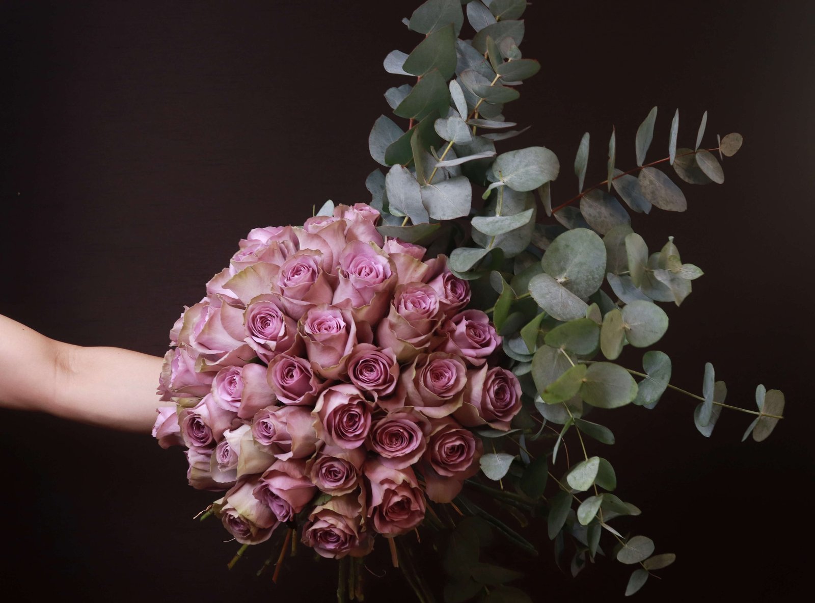 Purple Roses Bouquet | Delivery Dubai, Sharjah, and Ajman.